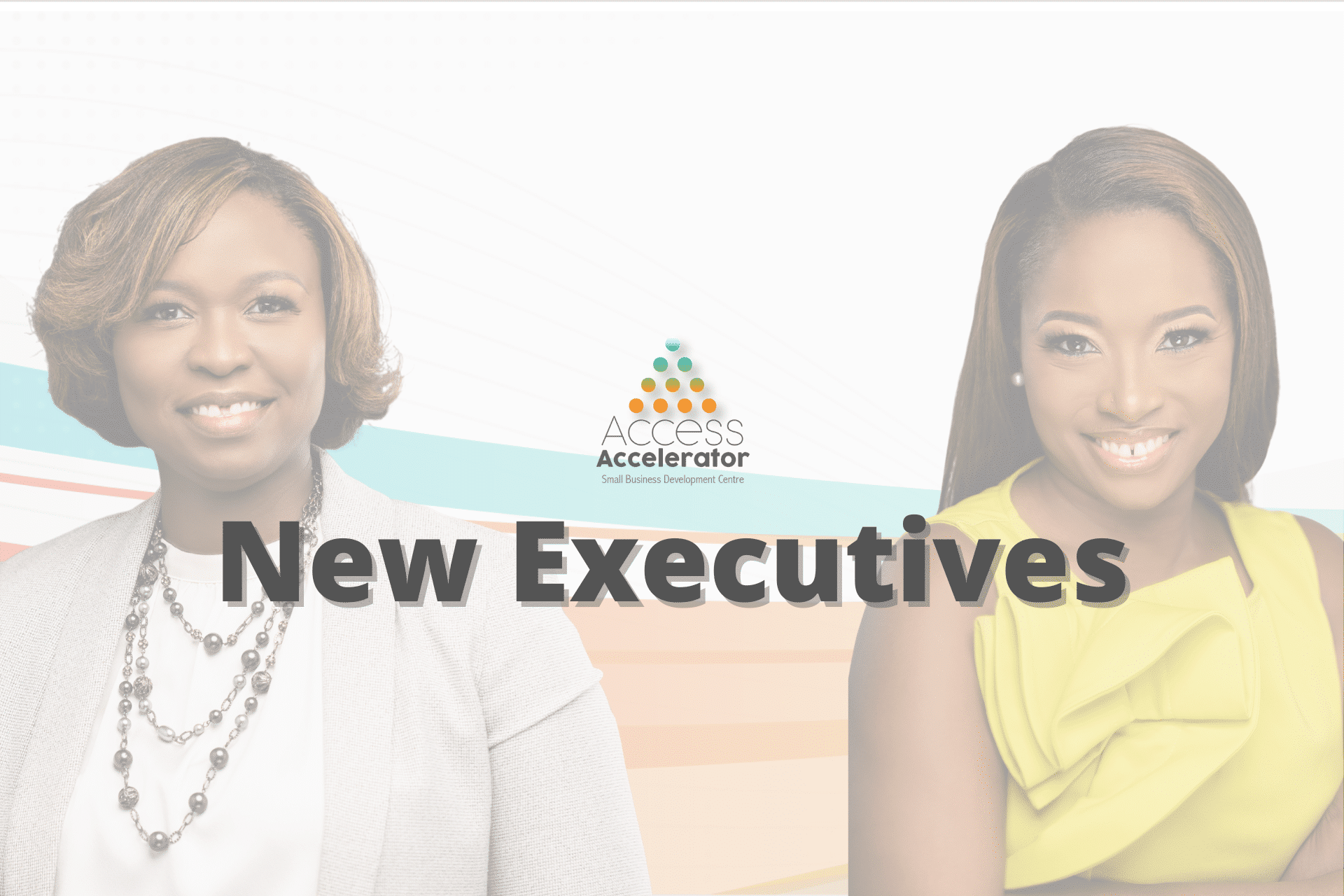 New Exec Team Members Announced | Small Business Development Centre